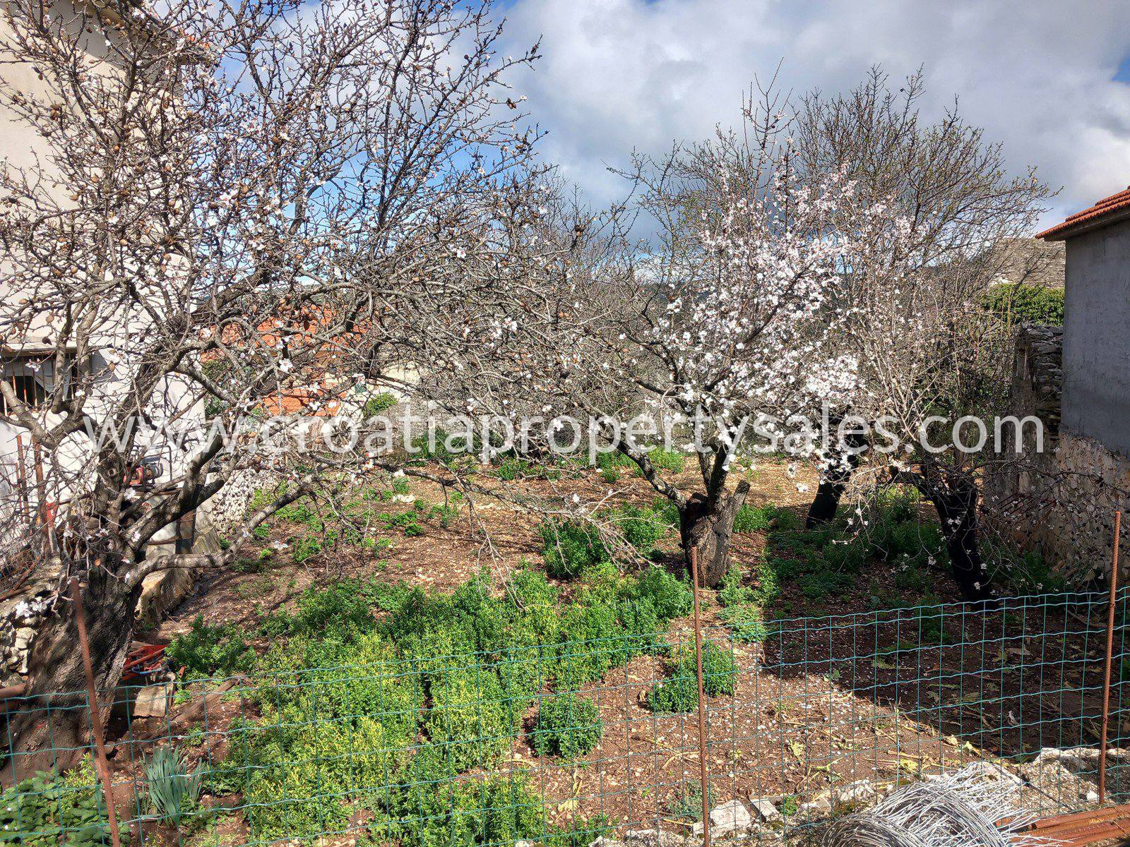 Brac old stone house for sale 4832 | Croatia Property Sales